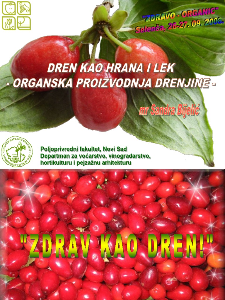Organska Proizvodnja Drenjine Sandra B. | PDF