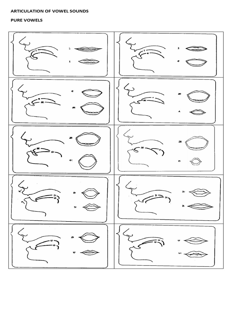 Articulation of Vowel Sounds | PDF