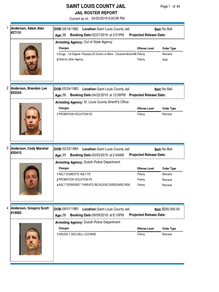 Jail Roster Report: Charges 1 2 Offense Level Order Type | PDF ...