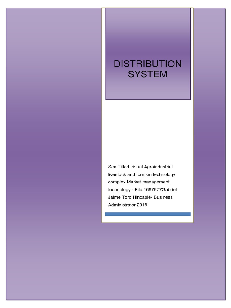 Distribution System | PDF | Business | Marketing