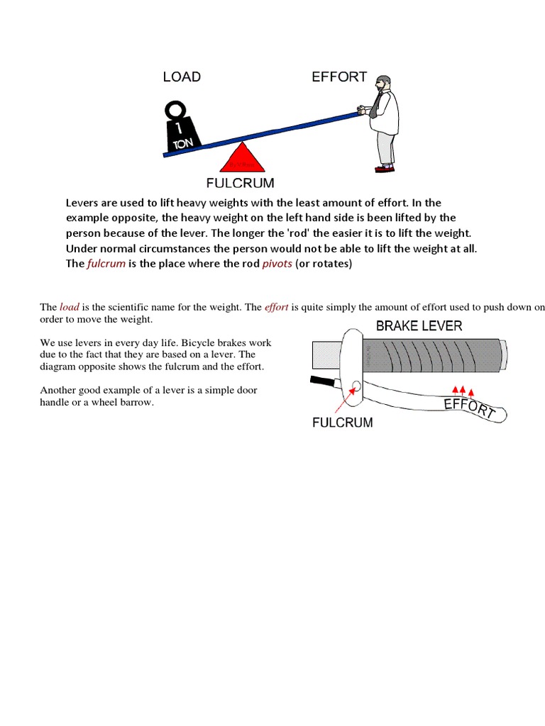 Fulcrum Pivots: Load Effort | PDF
