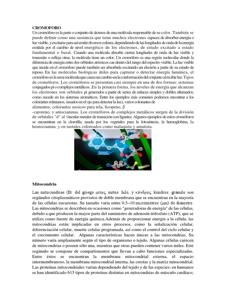Cromóforos: los responsables del color en las moléculas | PDF ...