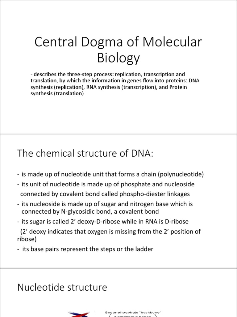 Central Dogma of Molecular Biology | PDF | Directionality (Molecular ...