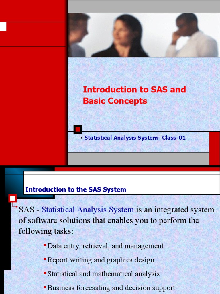 Introduction To Sas And Basic Concepts Statistical Analysis System