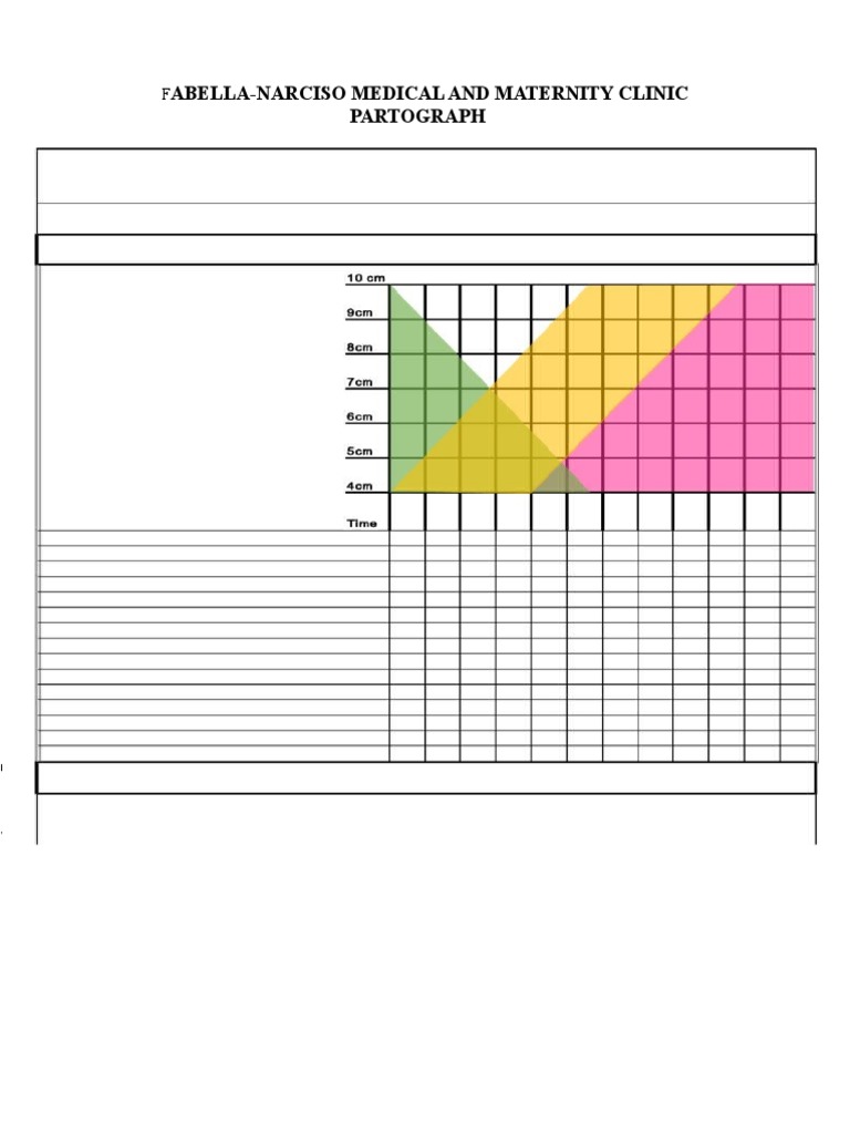 Abella-Narciso Medical and Maternity Clinic Partograph | PDF