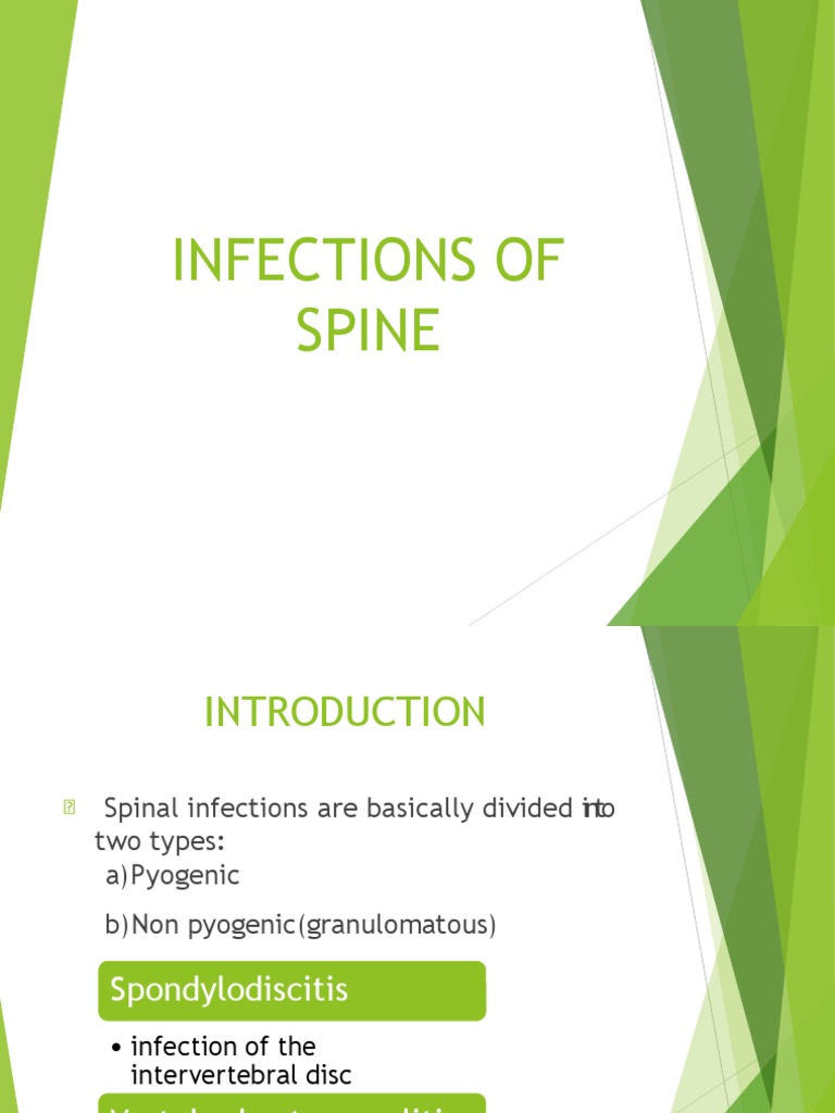 Types of Spinal Infections Overview | PDF | Spinal Cord | Tuberculosis