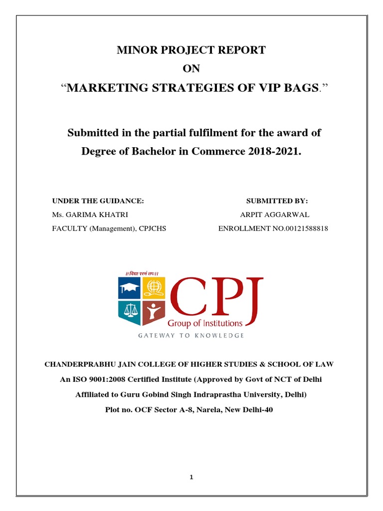 Marketing Strategies of VIP Bags | PDF | Baggage | Brand