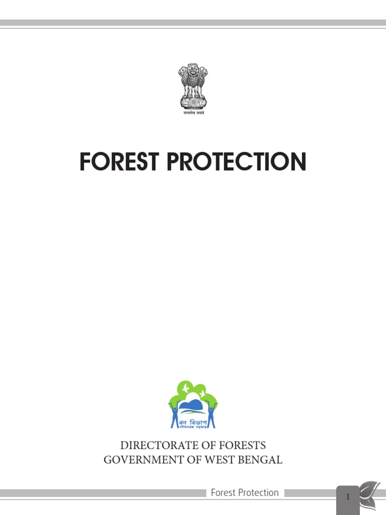Forest Protection PDF | PDF | Wildfire | Forests