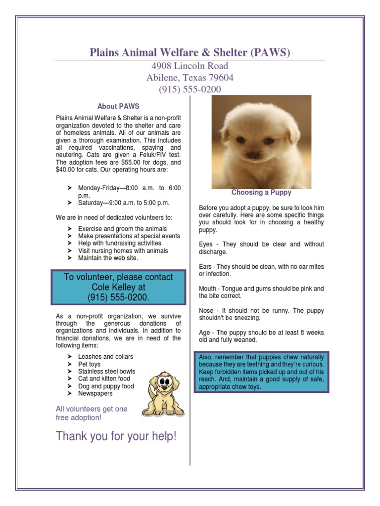 Paws | PDF | Cats | Dogs