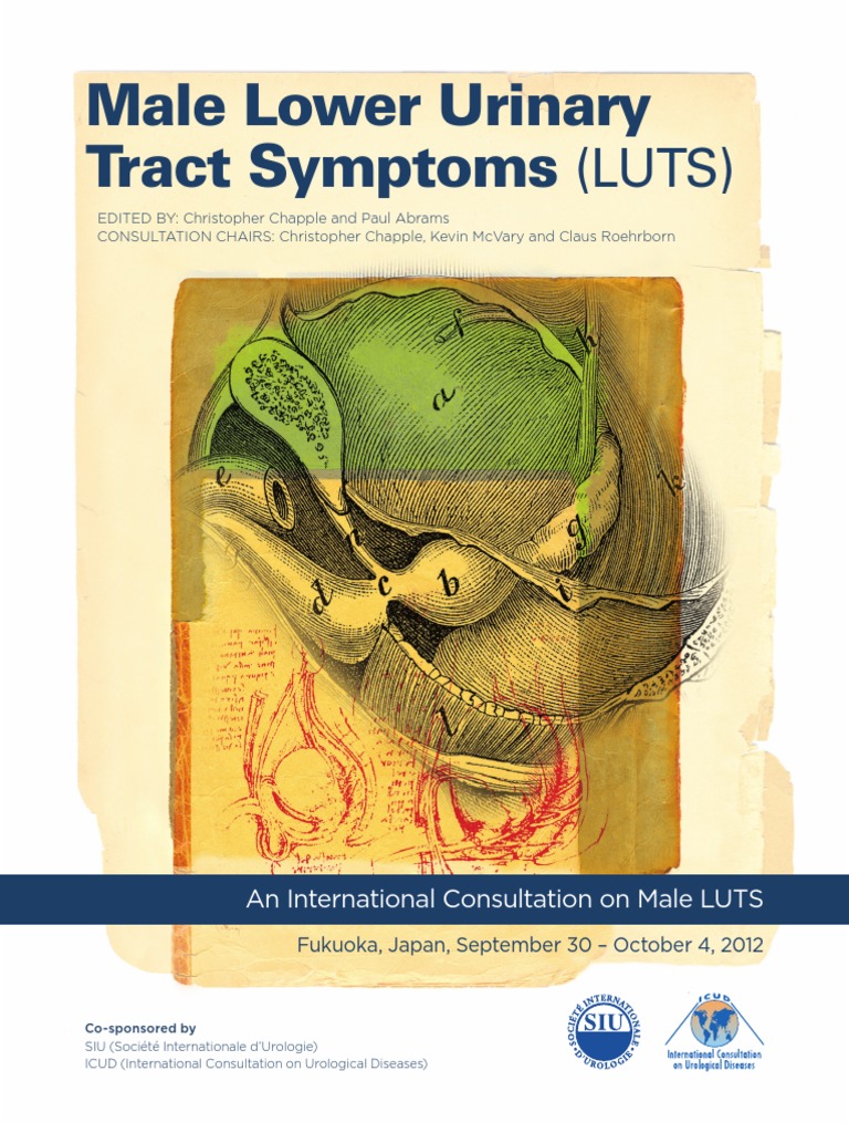 Male Lower Urinary Tract Symptoms (LUTS).pdf | Urinary Incontinence ...