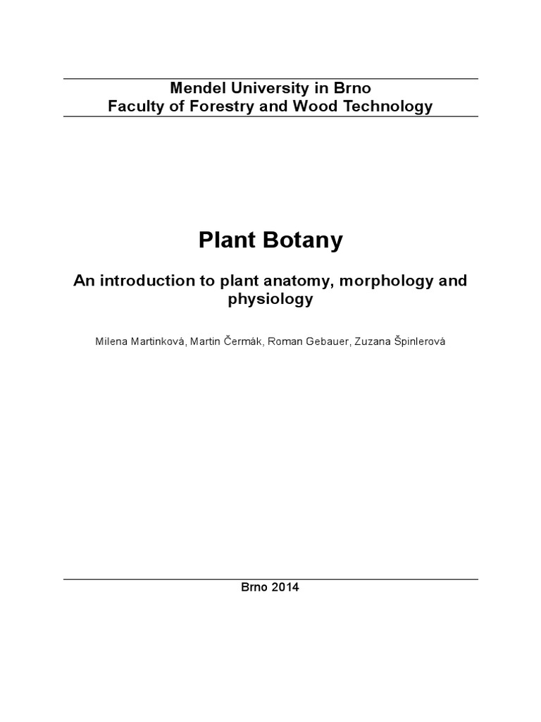 Skripta Plant Biology Pdf Pdf Trees Root