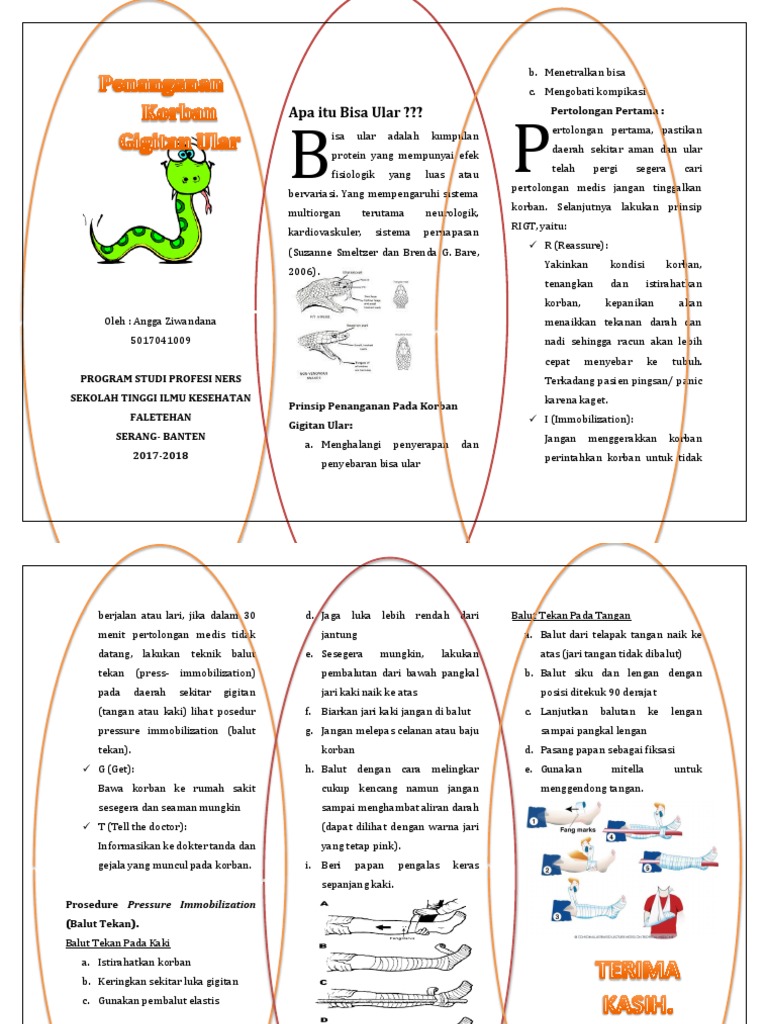 Leaflet Snake Bite | PDF