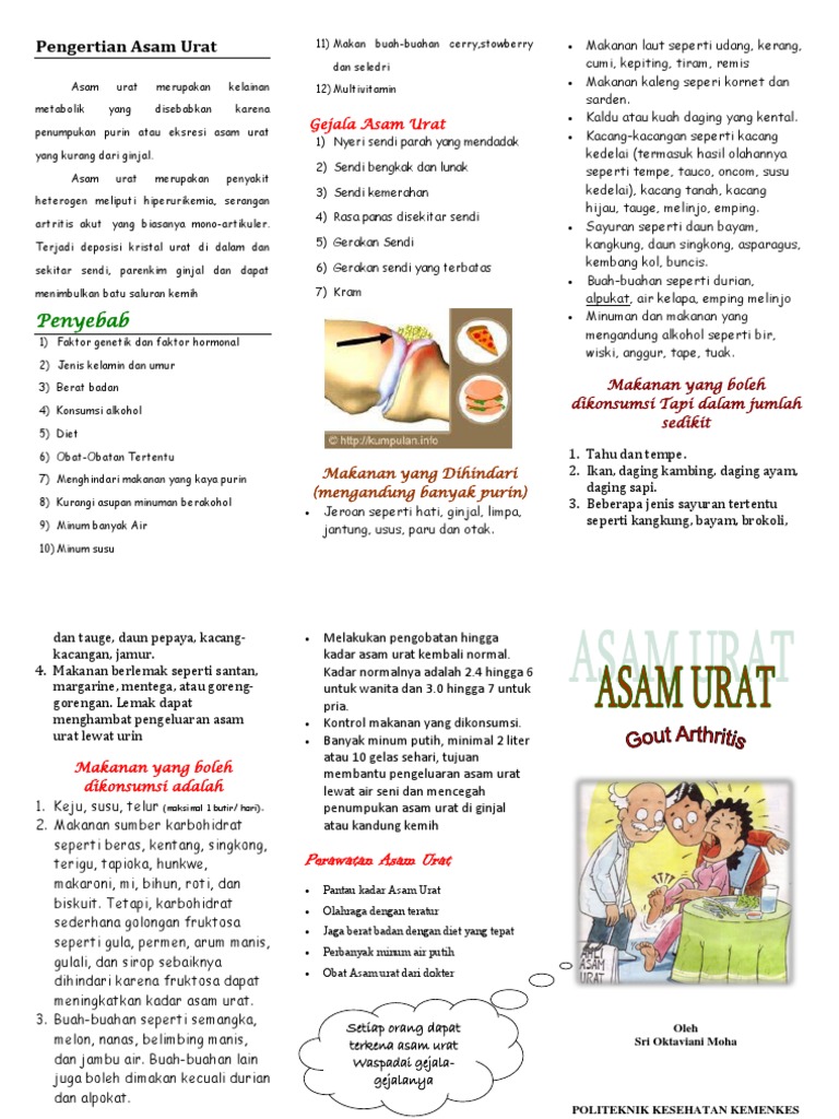 Leaflet Asam Urat | PDF