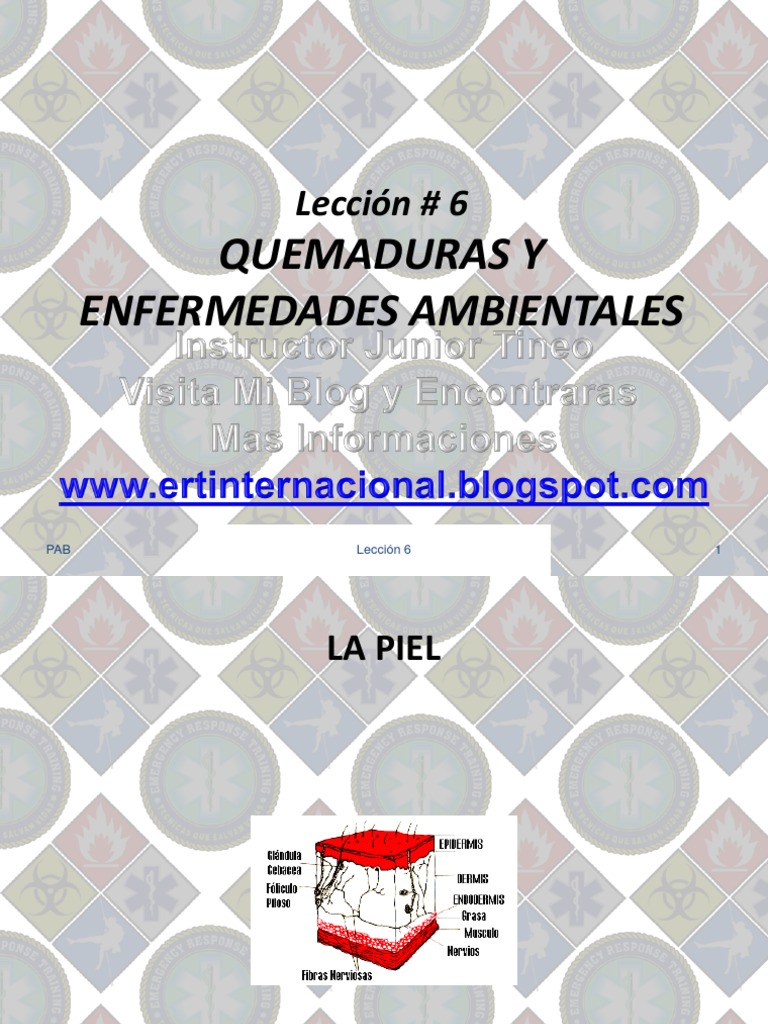 Lección # 6 Primeros Auxilios | Descargar gratis PDF | Quemar | Piel