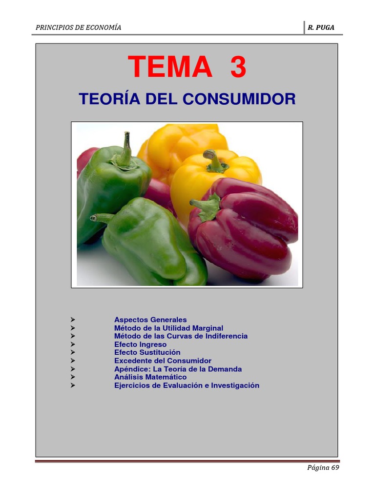 Tema 3 Teor Consum PDF | PDF | Utilidad | Utilidad marginal
