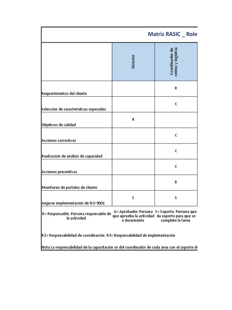 Matriz RASIC: Roles y Responsabilidades | PDF | Business | Informática ...