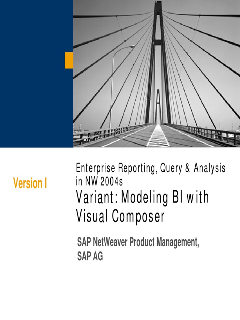 BI Modelling in Visual Composer | PDF | Microsoft Access | Databases
