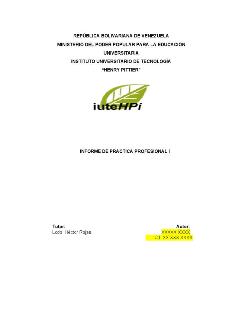 Modelo de Informe de Practica Profesional | PDF | Informática ...