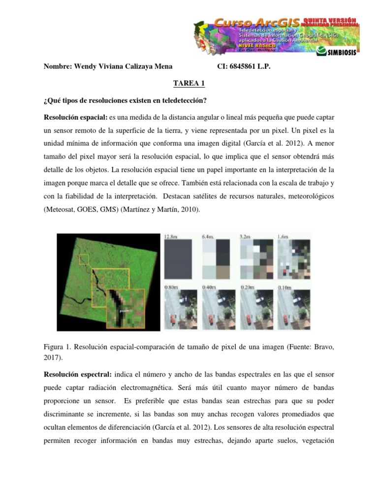 Tarea Sig 1 Wendy Calizaya | PDF | Resolución de pantalla | Sensores remotos