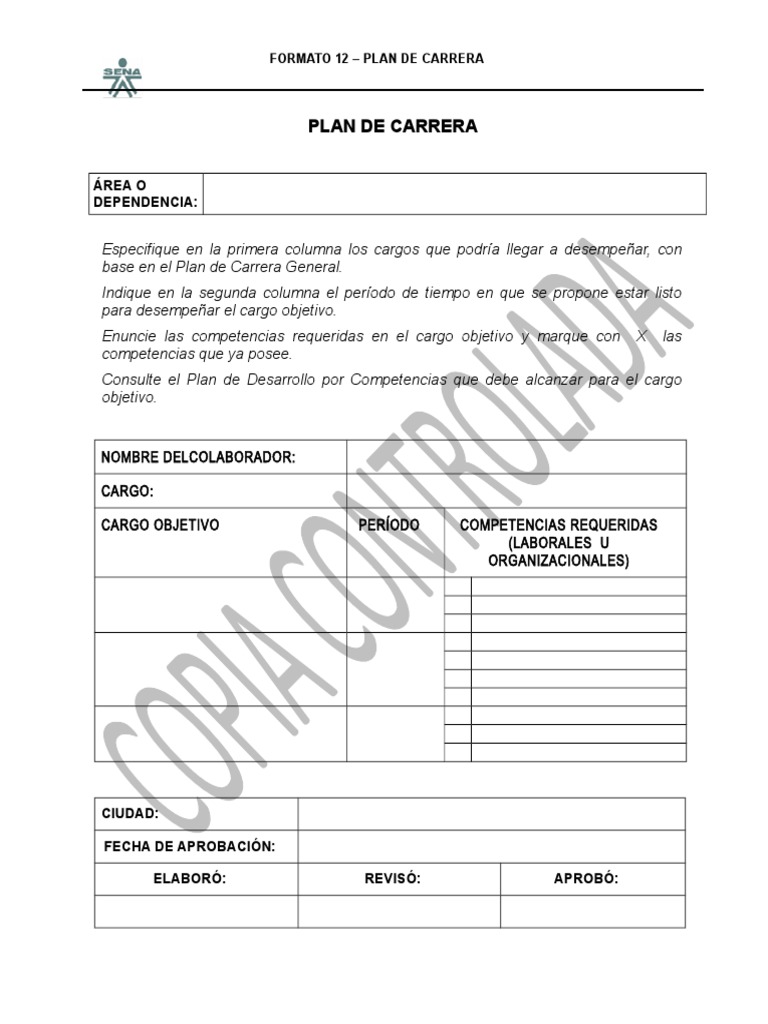 Formato 12 - Plan de Carrera