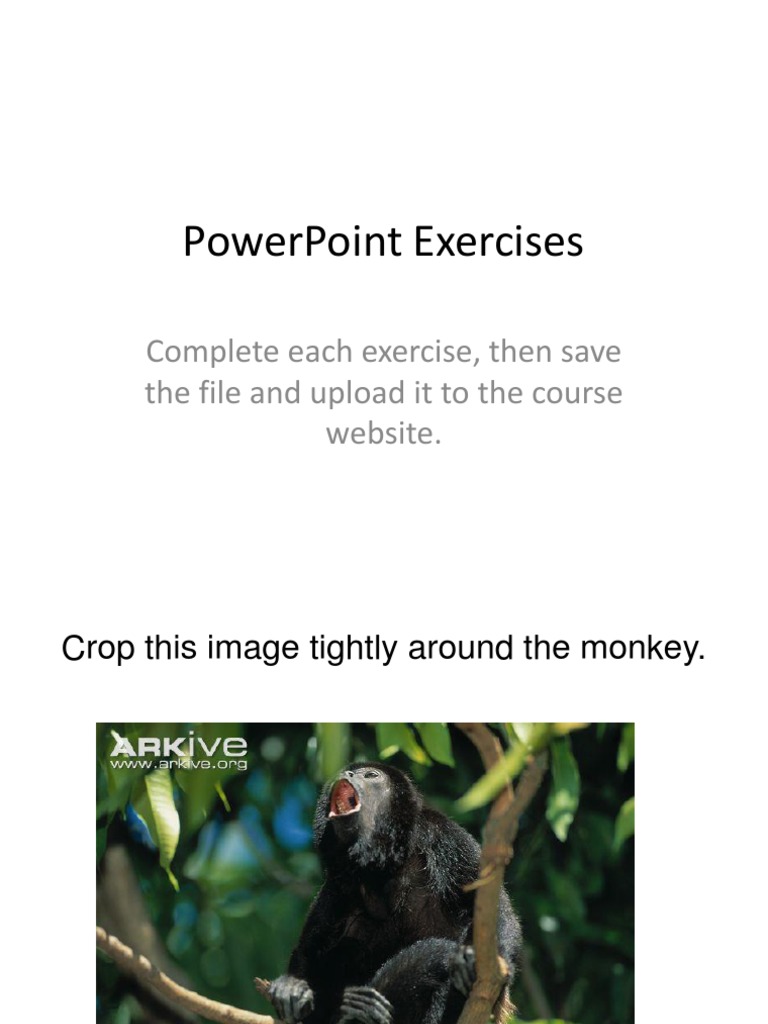 PowerPoint Exercises: Complete Tasks | PDF