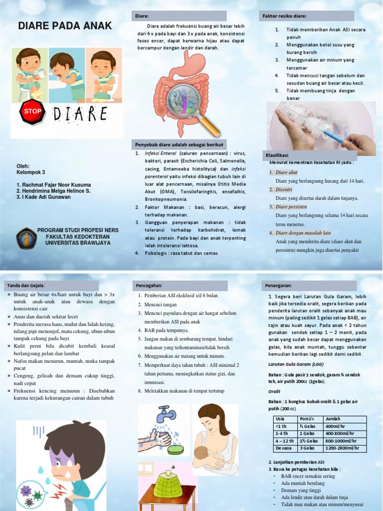 Leaflet Diare | PDF