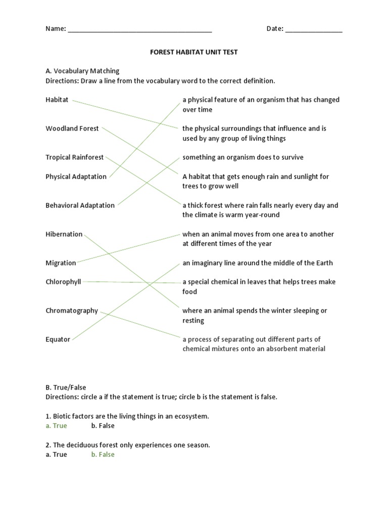 Forest Habitat Unit Test | PDF | Rainforest | Forests