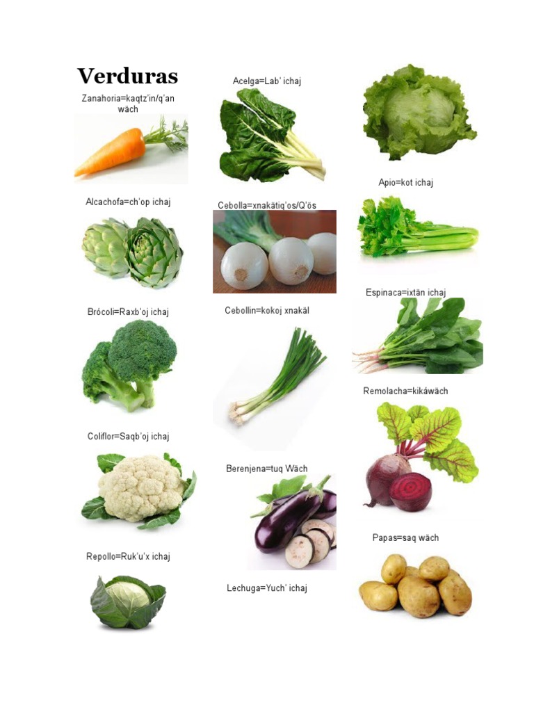 Verdura Y Frutas En Kaqchikel Pdf