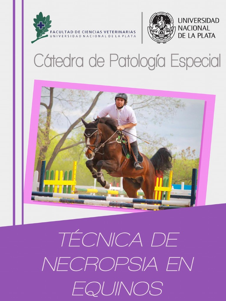 Técnica de Necropsia en Equinos | PDF | Abdomen | Articulación