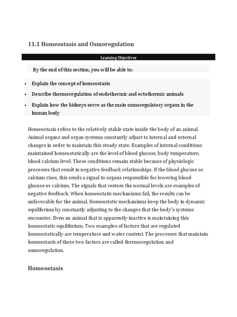 Homeostasis and Osmoregulation Overview | PDF | Homeostasis | Kidney