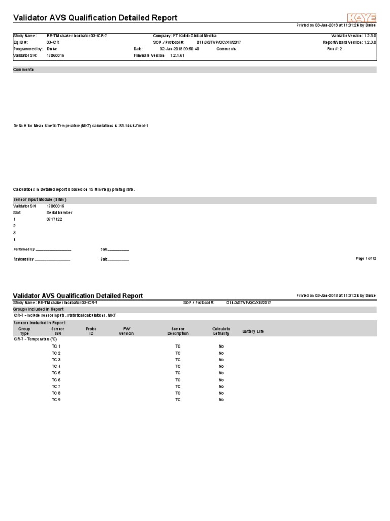 Validator AVS Qualification Detailed Report: Comments | PDF | Computing ...