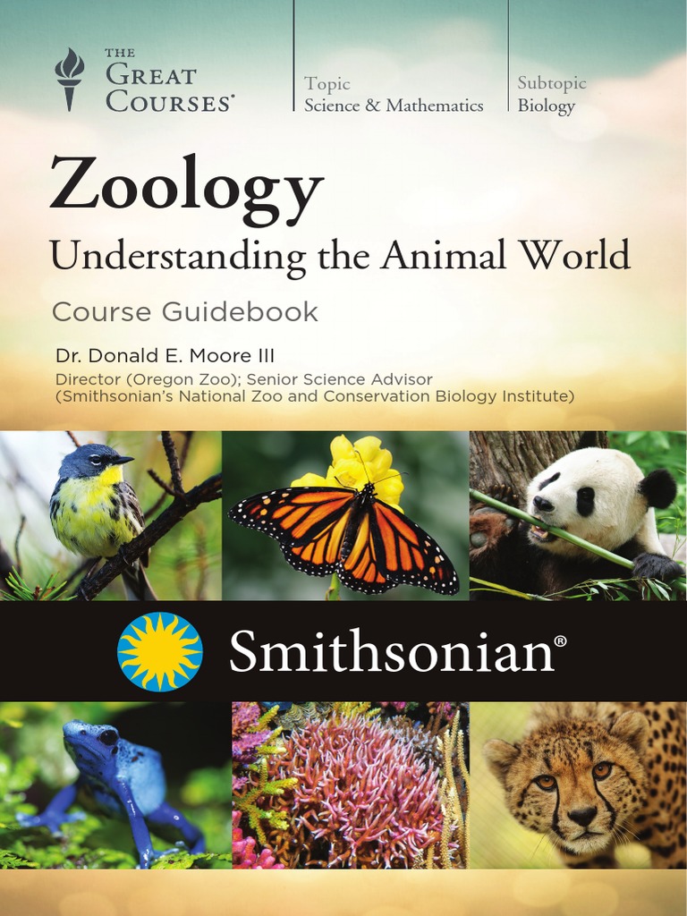 Guidebook Zoology PDF | PDF | Sexual Reproduction | Ploidy