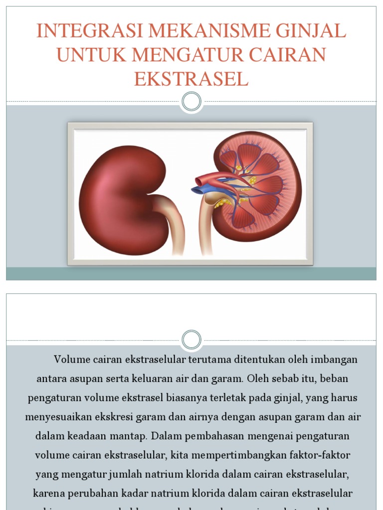 Integrasi Mekanisme Ginjal Untuk Mengatur Cairan Ekstrasel | PDF