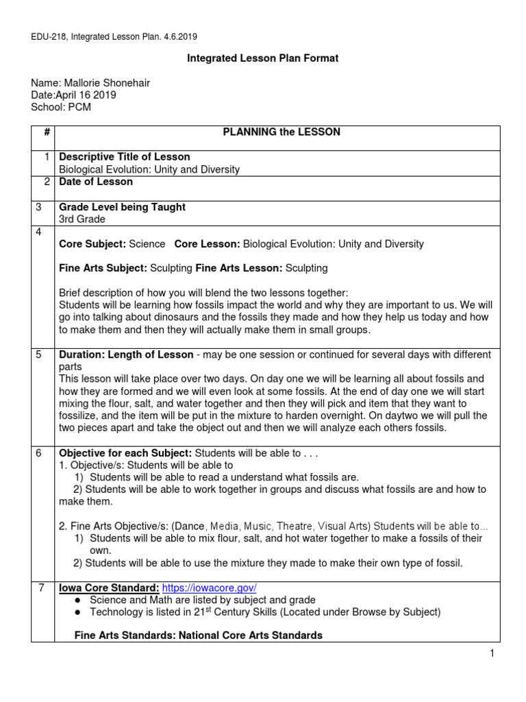Integrated Lesson Plan 1 | PDF | English As A Second Or Foreign ...