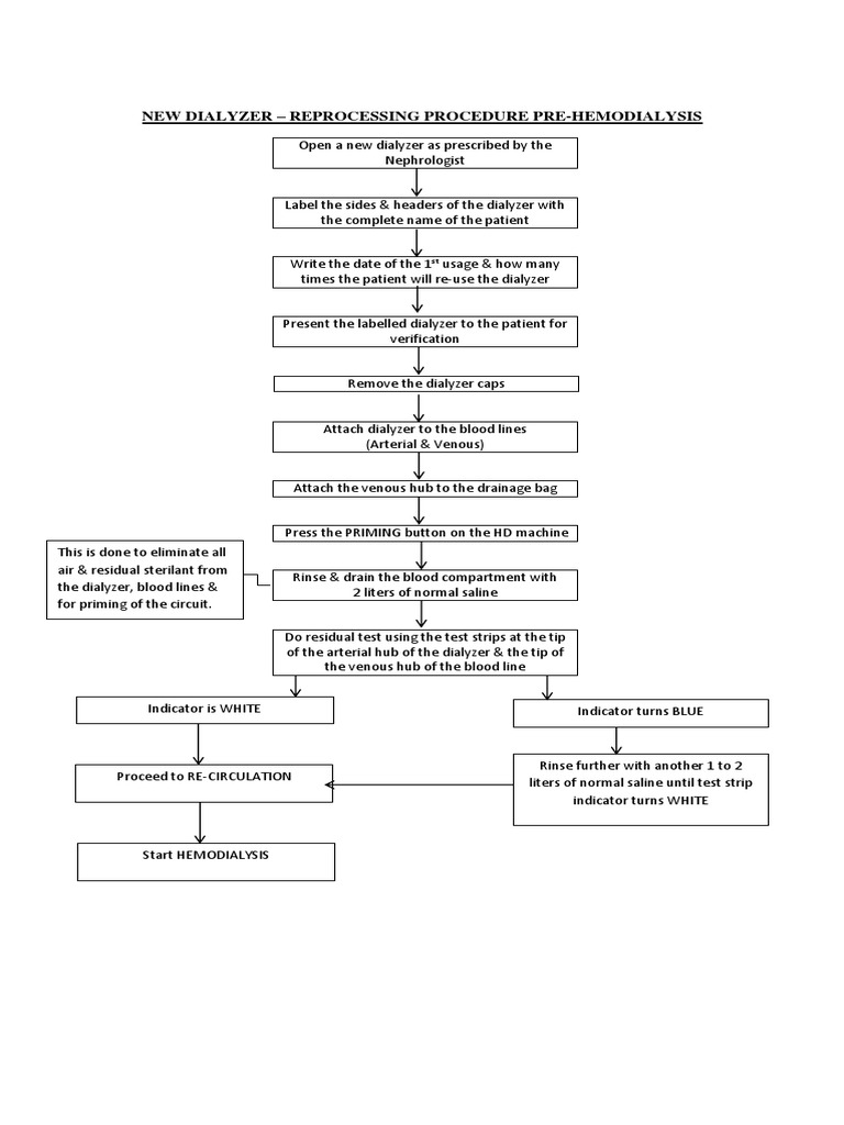 Dialyzer Reprocessing Flow Chart | PDF