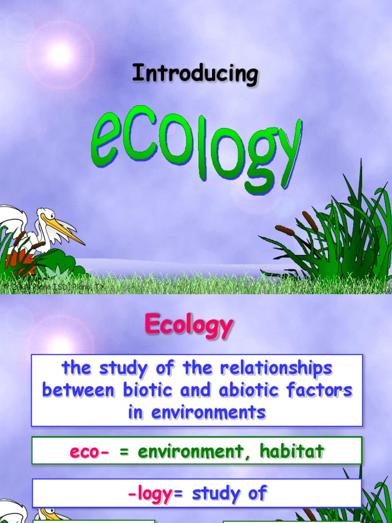 Honors Intro To Ecology | PDF | Climate | Ecosystem