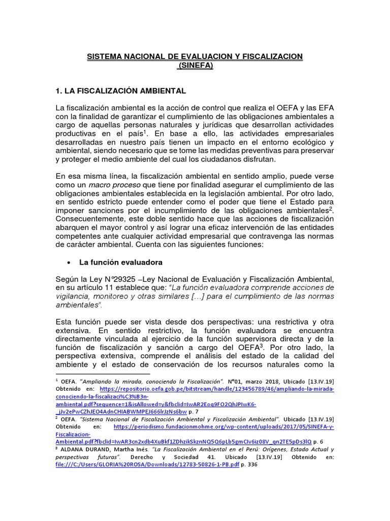 SINEFA Trabajo Hoy | PDF | Gobierno | Justicia