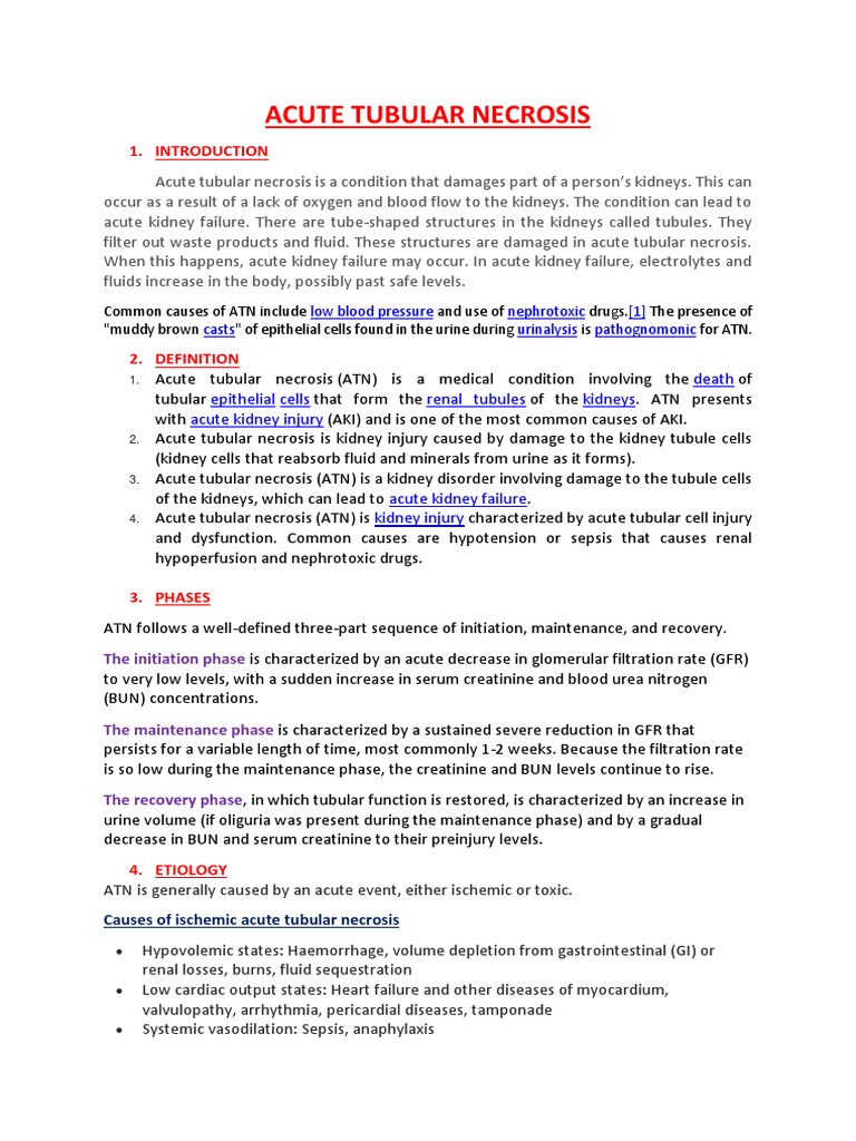 A Comprehensive Review of Acute Tubular Necrosis: Causes ...
