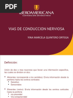 Escala de Lovett | PDF