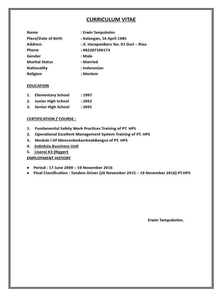 Curriculum Vitae Erwin | PDF