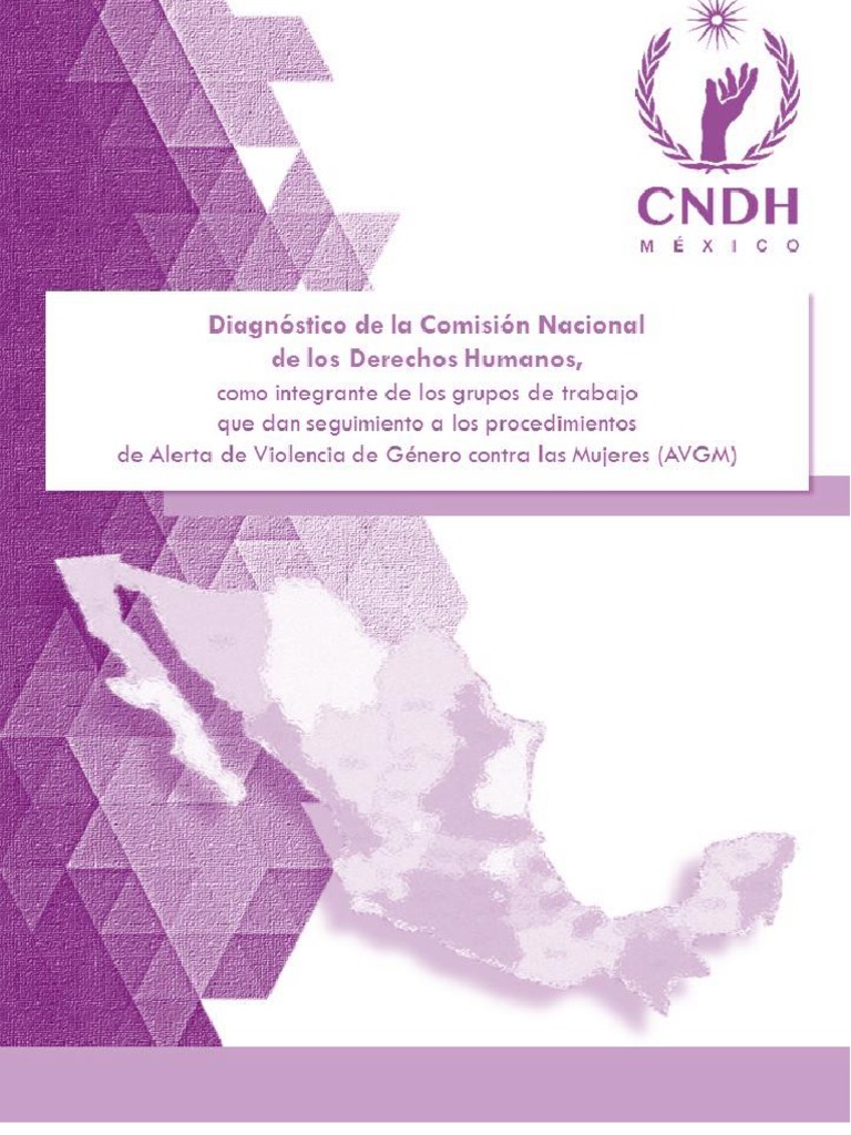 Diagnóstico de Alerta de Violencia de Género | PDF | La violencia ...