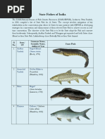 Palia Complete Fish Checklist | PDF | Fish
