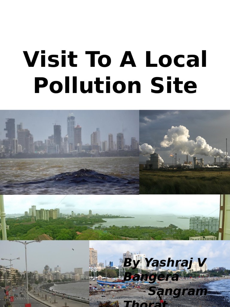 Visit To A Local Pollution Site by YASHRAJ PDF | PDF | Environmental ...