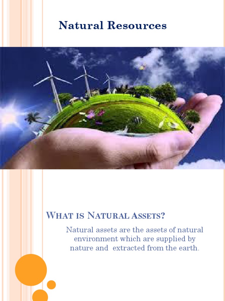 Natural Assets | PDF