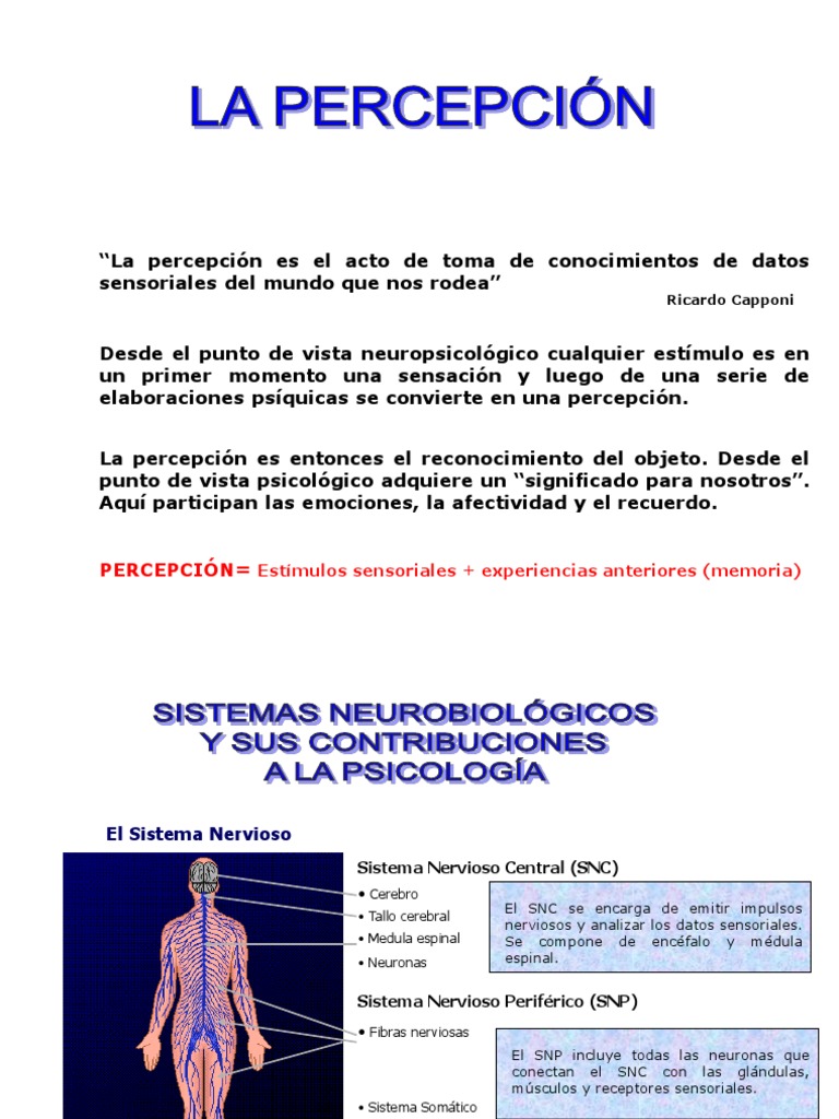 2 La Percepcion y La Cognicion Social2 | PDF | Sistema nervioso central ...