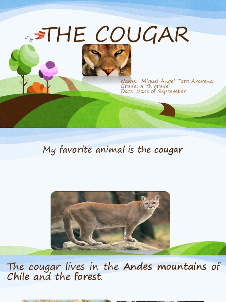 The Cougar: Name: Miguel Ángel Toro Aravena Grade: 5 TH Grade Date ...