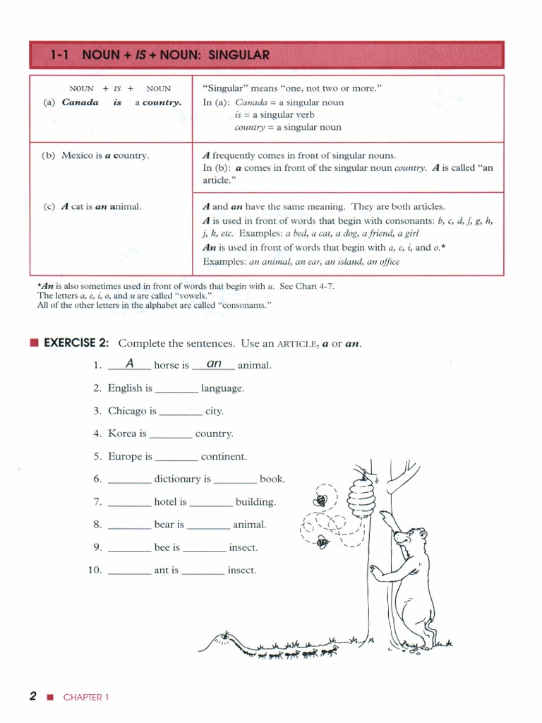 A or An+Noun - Explanation and Exercises PDF | PDF | Grammatical Number ...