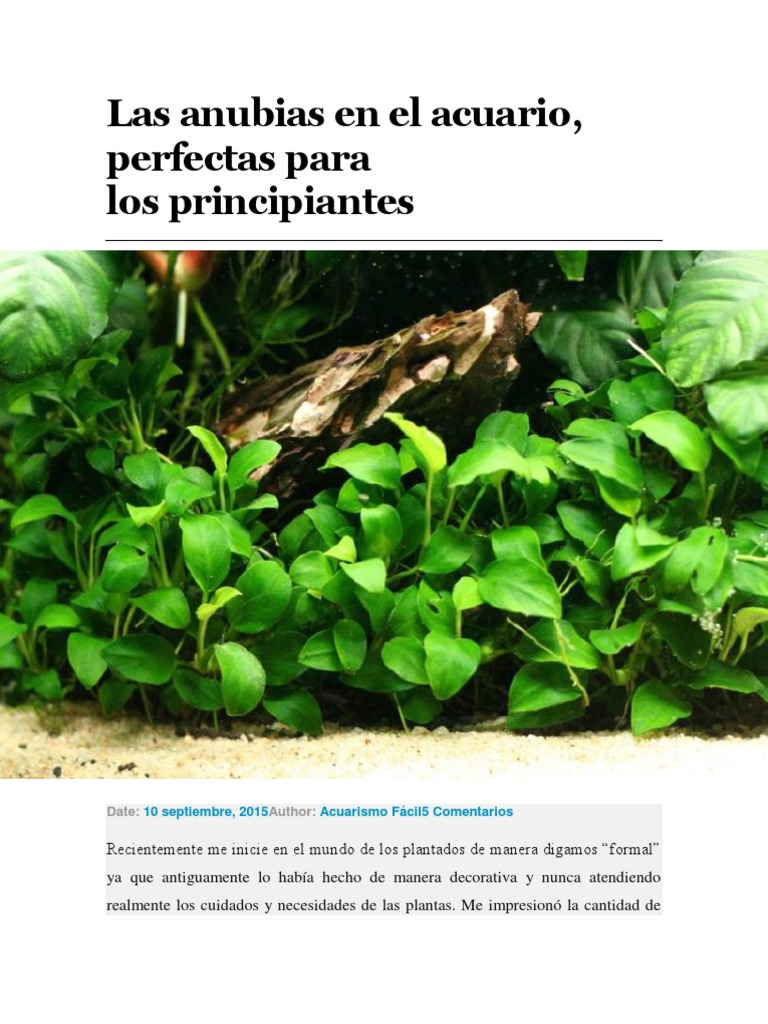 Las Anubias en El Acuario | PDF | Acuario | Hoja