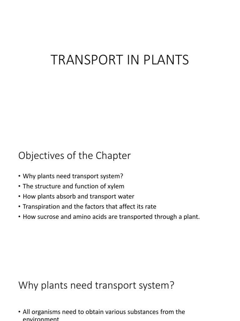 Transport in Plants | PDF | Tissue (Biology) | Leaf