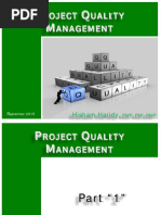 IIA Maturity Model PDF | PDF | Internal Audit | Audit